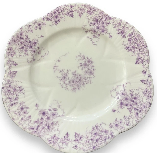 WILEMAN FOLEY PRE Shelley MAUVE TRAILING VIOLET Plate Dainty Bone China ...