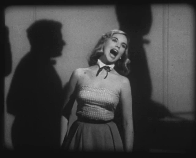 16MM FILM THE Sauter-Finegan Orchestra (1955) Rare Universal Musical ...