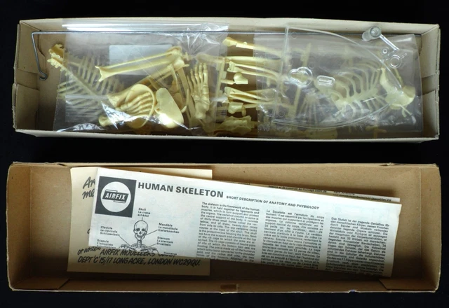 VINTAGE AIRFIX SKELETON MODEL KIT 1/6 Scale Complete £45.00 - PicClick UK