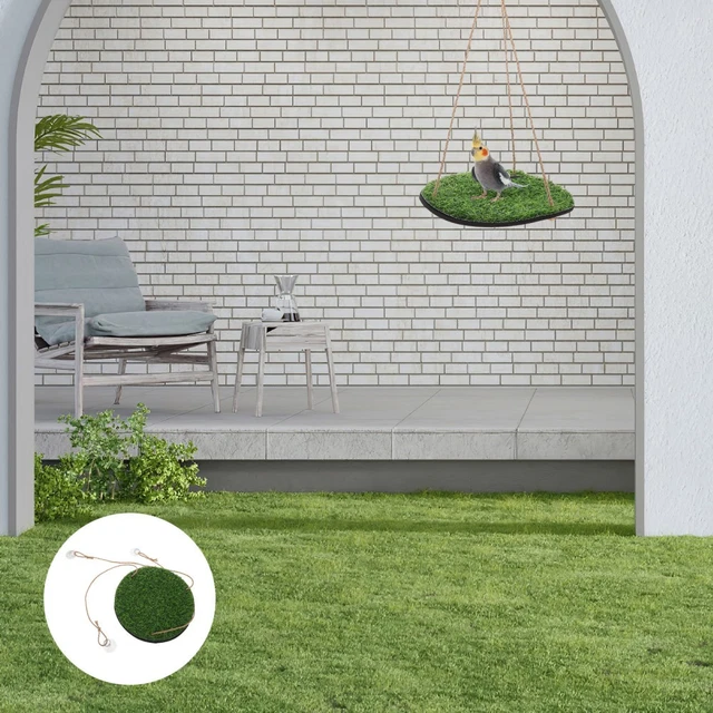 COCKATIEL TOYS CHAMELEON Cage Accessories Birds Perch Platform Gecko ...