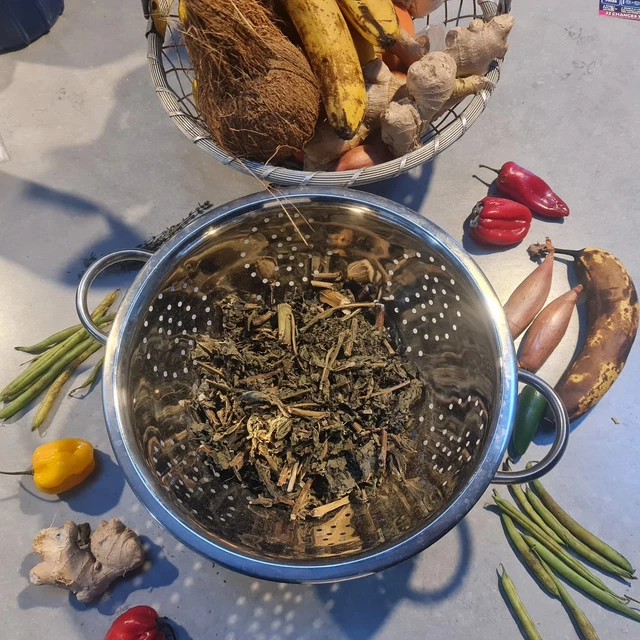 DRIED NATURAL JAMAICAN Fatten Barrow Plant Organic Herb 50g £13.00 ...