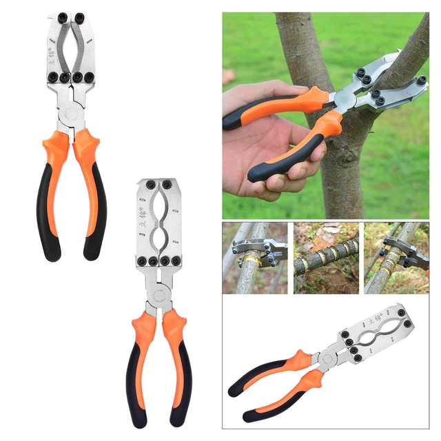 PINCE À ANNEAUX d'épluchage d'arbre, outil d'élagage d'arbre pour l ...