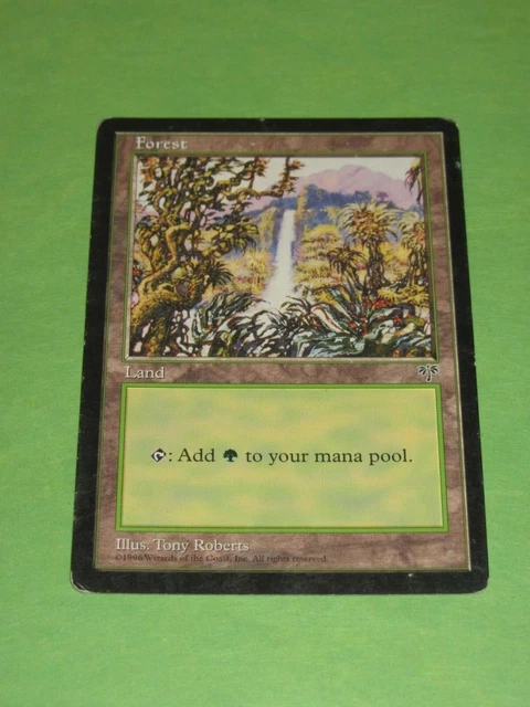 MAGIC THE GATHERING Tony Roberts FOREST LAND Deckmaster Card £1.75 ...