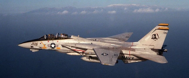 USN F-14 TOMCAT VF-142 Ghostriders Sqn à Repasser Patch ⭐ ...