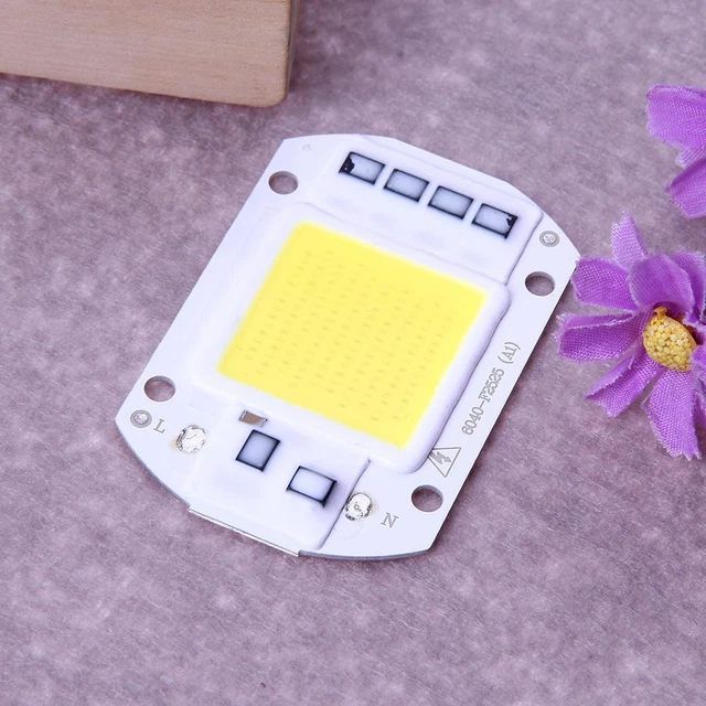 50W LEDS FLOODLIGHTS COB Chip 220V Input Integrated IC Driver(White ...