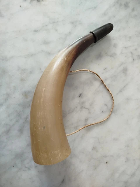 TROMPETTE CORNE DE Chasse Ancienne Fonctionne EUR 12,50 - PicClick FR