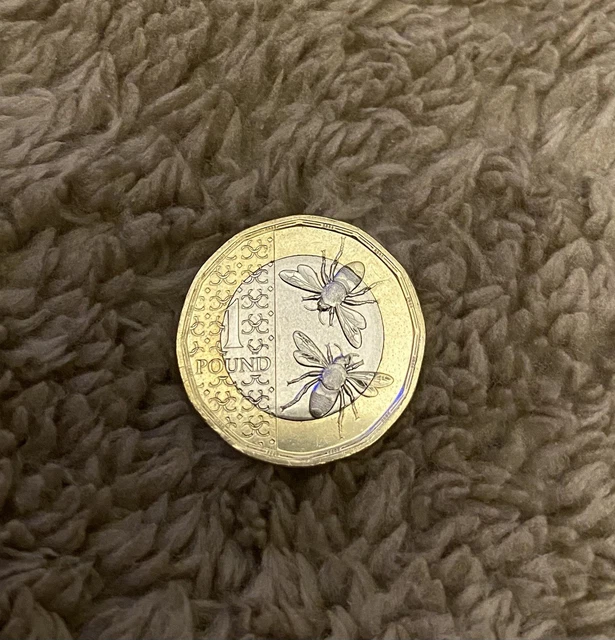 2025 KING CHARLES £1 Bee 🐝 Coin £10,086.70 - PicClick UK