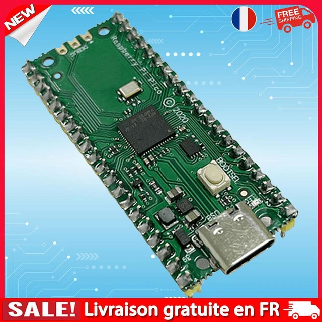 # RASPBERRY PI Pico Board RP2040 Low-Power Microcomputers (Green Han ...
