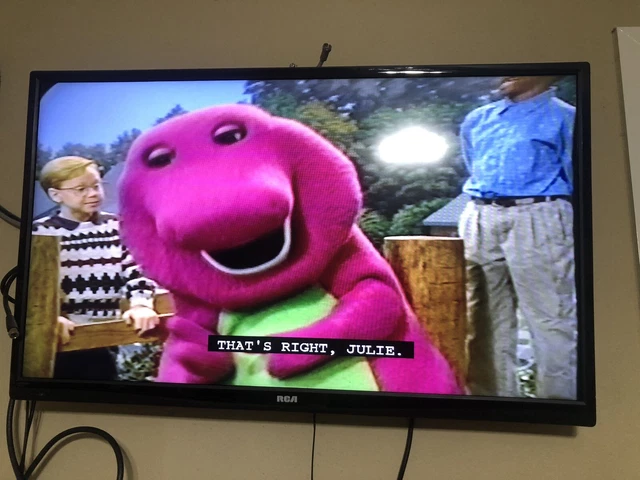 VHS BARNEY BARNEY'S Alphabet Zoo Rare! 30m Incl. ASL Sign Language song ...