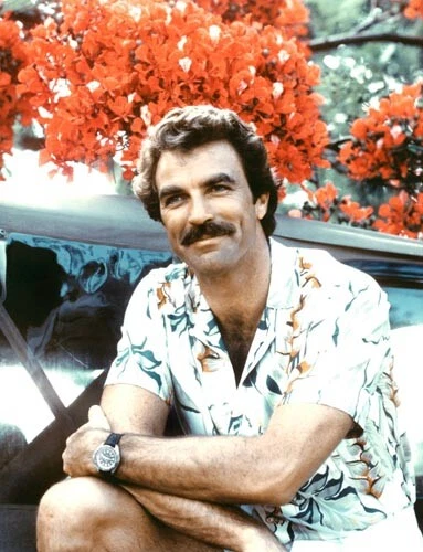 TOM SELLECK [MAGNUM PI] 8"x10" 10"x8" Photo 75668 £2.99 - PicClick UK