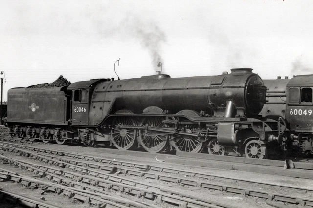 PHOTO 6X4 RAILWAY Steam 60046 A3 at Grantham c1960 £2.50 - PicClick UK