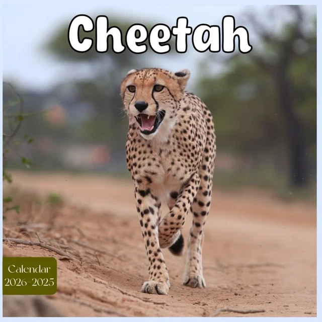 CHEETAH CALENDAR 2025: 2 Year Planner January 2025 - December 2026 ...