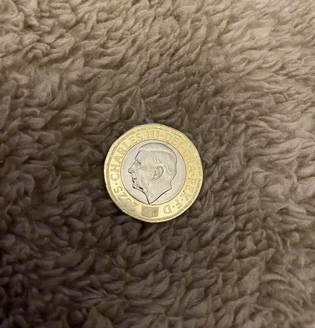 2025 KING CHARLES £1 Bee 🐝 Coin £10,086.70 - PicClick UK