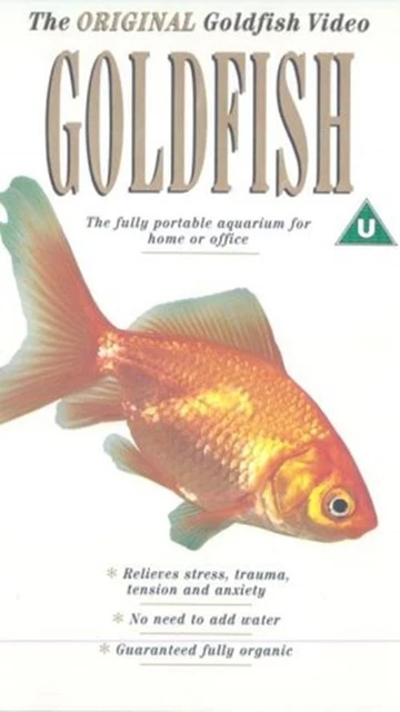 GOLDFISH - THE Original Goldfish Video [VHS] [VHS Tape] £24.99 ...