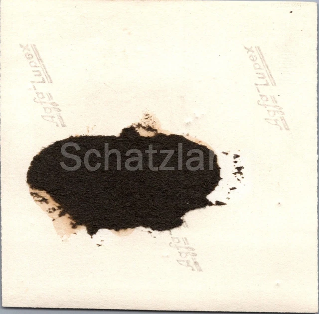 FOTO (DAK), WALTHER Nehring und Gustav von Vaerst (General), 01 (MJ-35 ...