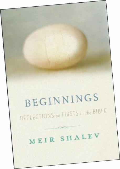 DÉBUTS : REFLETS Des Premières Intrigantes De La Bible, Par Natalie ...