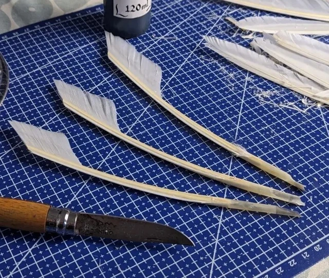 3 HAND CRAFTED Medieval Calligraphy/Drawing Quills, 3 Different Nib ...