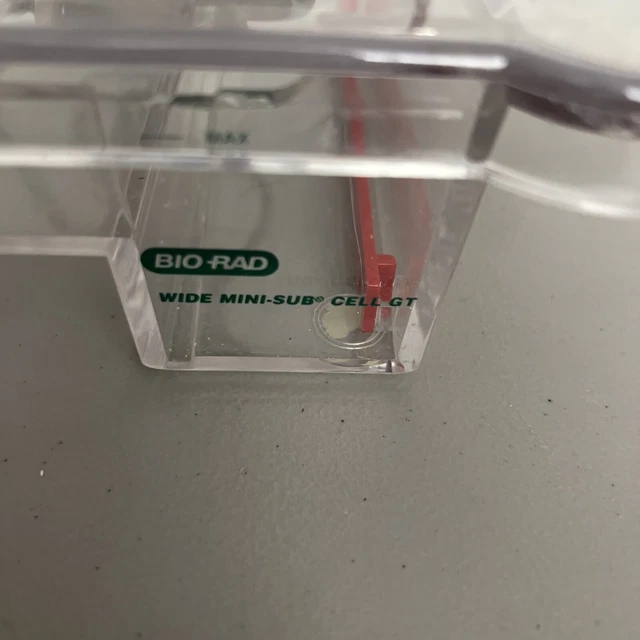 BIO-RAD WIDE MINI-SUB Cell GT Gel DNA Electrophoresis System £197.88 ...