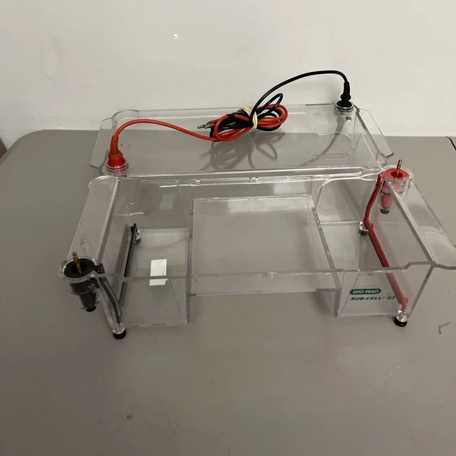 BIO-RAD SUB CELL GT Gel DNA Electrophoresis System Biorad £340.76 ...