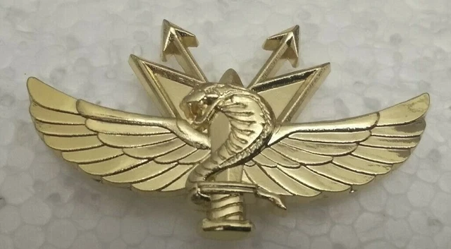 ISRAEL IDF INSIGNIA PARATROOPERS signal brigade combatant badge GOLD ...