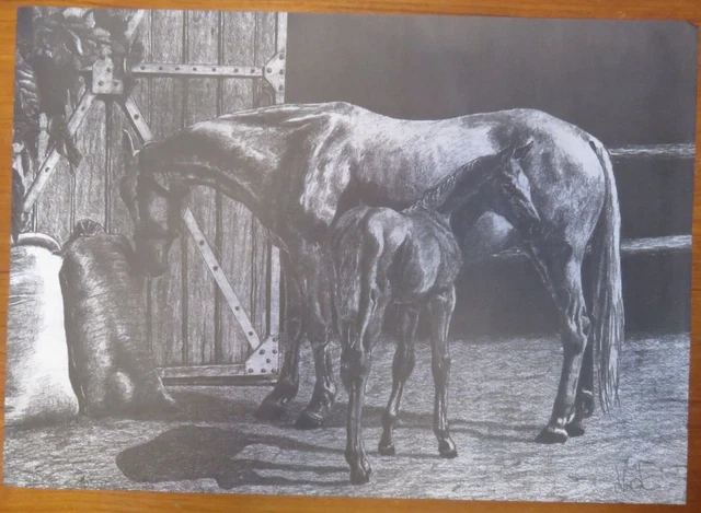 VINTAGE HAND PENCIL Drawing Art Picture Mare Foal Horses outside ...