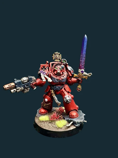 PRO PAINTED WARHAMMER 40K Blood Angels Primaris Terminator Captain £72. ...