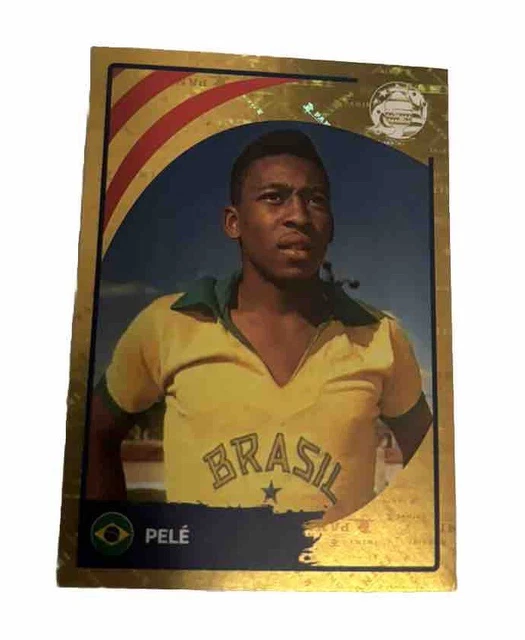 PELE #LEG3 LEGENDS - Panini Copa America 2024 Or EUR 5,51 - PicClick FR
