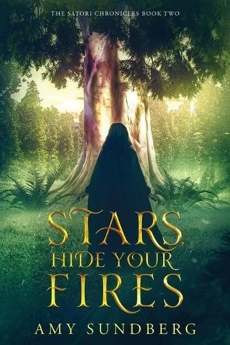 AMY SUNDBERG STARS, Hide Your Fires (Poche) Satori Chronicles EUR 21,91 ...