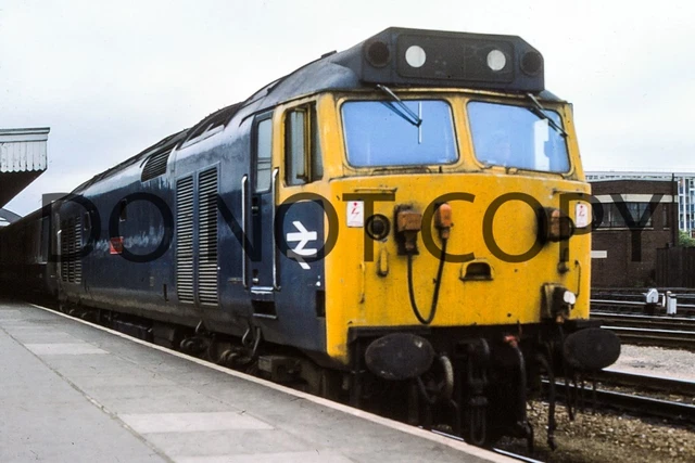UK DIESEL TRAIN Railway Photograph Of Class 50 50036 Loco. Rm50-221 £1. ...