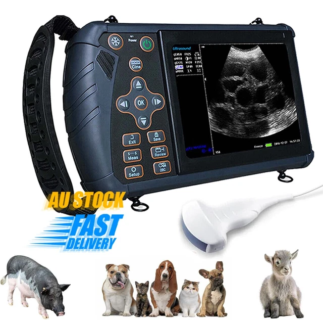 AU PORTABLE VETERINARY Ultrasound Scanner For Sheep Pig Dog, 3.5MHz ...