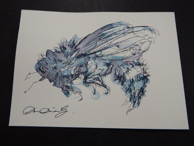 ORIGINAL PEN & ink sketch illustration drawing of a bee on Watercolour ...