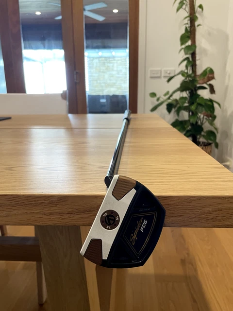 TAYLORMADE SPIDER FCG Black/White SMALL Slant 34 in Putter with Head ...