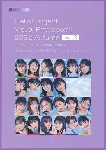 HELLO! PROJECT VISUAL Photo Book Collectible Magazine Used £61.49 ...