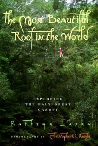 THE MOST BEAUTIFUL Roof in the World: Exploring the Rainforest Canopy £ ...