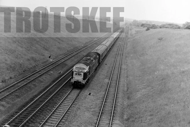 LARGER NEGATIVE BR British Railways Diesel Loco Class 55 D9016 1962 £3. ...