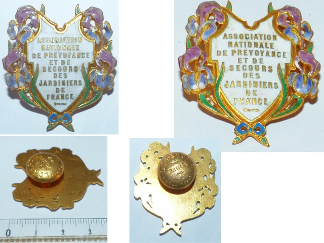 BROCHE INSIGNE Iris Fleurs Art Nouveau Emauil Jardiniers De France EUR ...