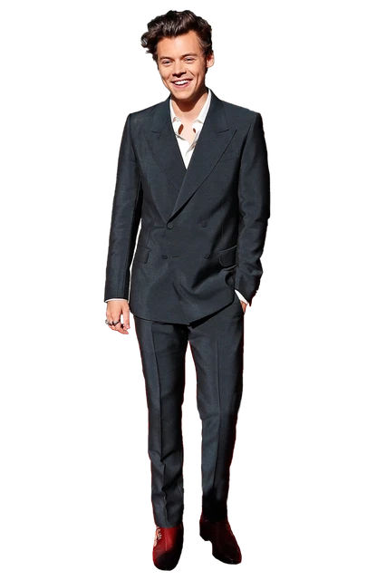 HARRY STYLES LIFESIZE Cardboard Standup Standee Cutout Poster Damaged ...