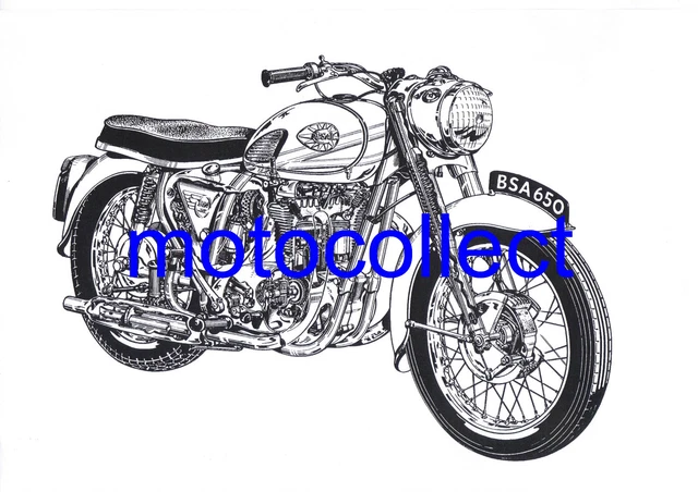 BSA A65 650 Twin - Cutaway Technical Drawing..A3 print..Free Postage to ...