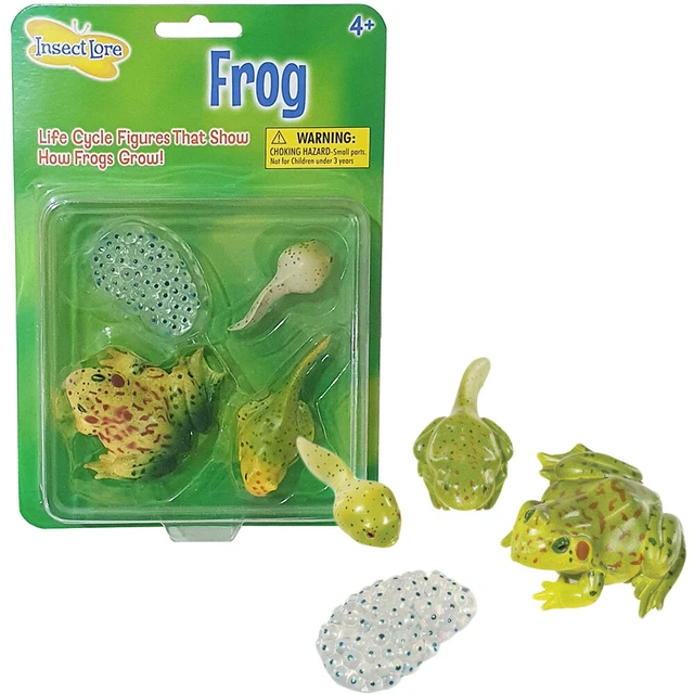 INSECT LORE LIFE Cycle Animal Figure Set Choose Frog, Ant, Ladybug or ...