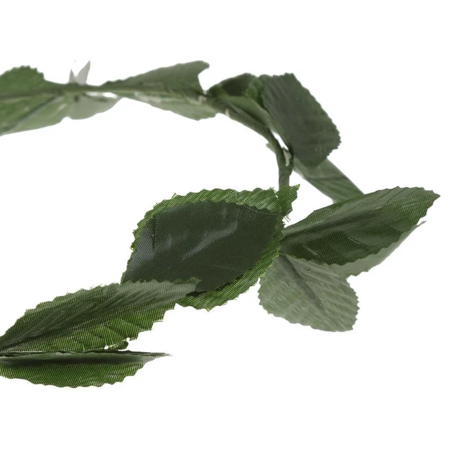 2 PIECES GREEK Roman Goddess Robe Leaves Laurel Wreath Headbands ...