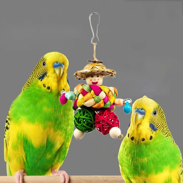 HANGING BIRD CHEWING Paper String Hanging Parrot Molar Toy Relieve ...