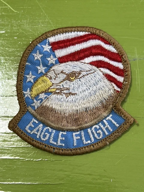 US AIR FORCE McDonnell Douglas F-15 Eagle Tactical fighter "Eagle Flight" Patch £8.54 - PicClick UK