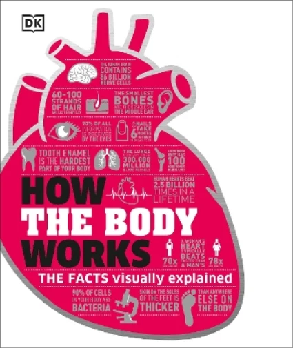 HOW THE BODY Works: The Facts Simply Explained (Dk Knowledge), DK ...