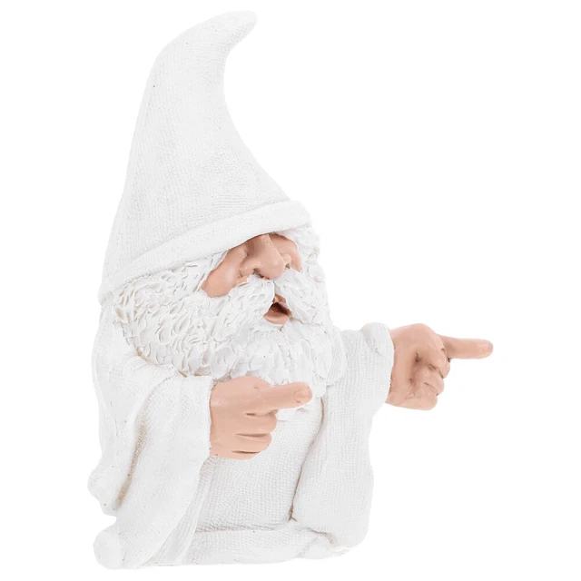 ORNEMENT NAIN MICRO Paysage Ornement nain Bonsaï Décor Artisanat ...