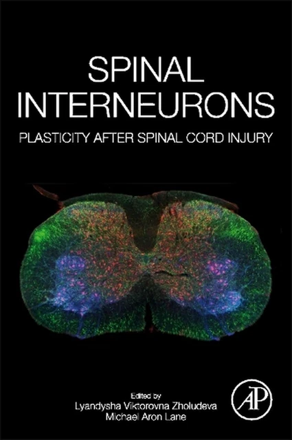 SPINAL INTERNEURONS: PLASTICITY after Spinal Cord Injury by Lyandysha Viktorovna £119.49 ...
