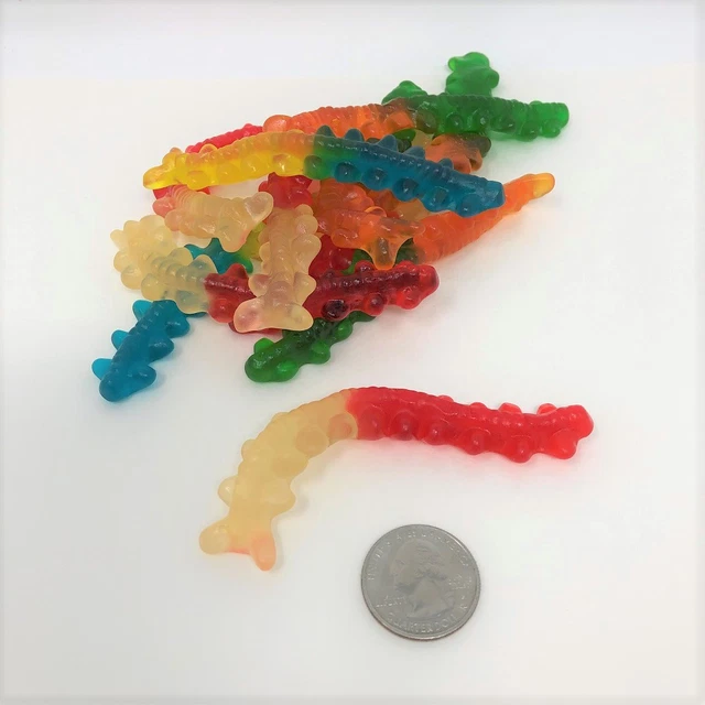 GUMMI CENTIPEDES ASSORTED Colors bulk gummy candy 1 pound £21.26 ...
