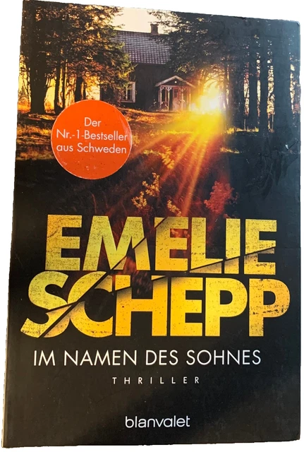 IM NAMEN DES Sohnes von Emelie Schepp (2018, Taschenbuch) ungelesen EUR ...