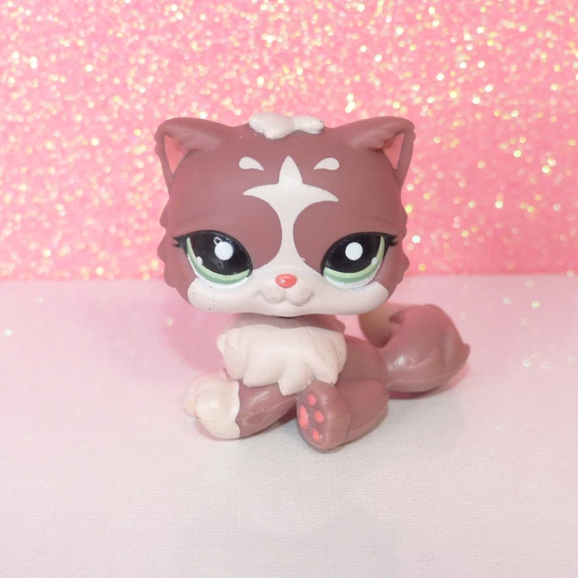 AUTHENTIC LITTLEST LPS 1761 chat cat persian persan petshop PET SHOP ...
