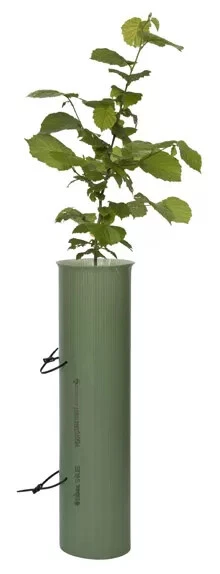 TUBEX 60CM SHRUB Standard Tree Tube Shelter Hedge Whip Protection ...