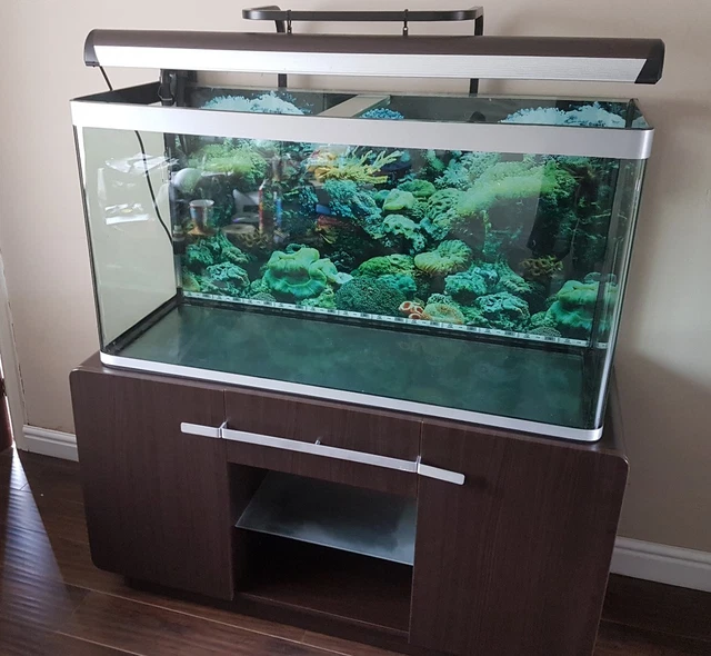 FLUVAL OSAKA 320 Aquarium with Walnut Stand incl 405 filter heaters etc ...